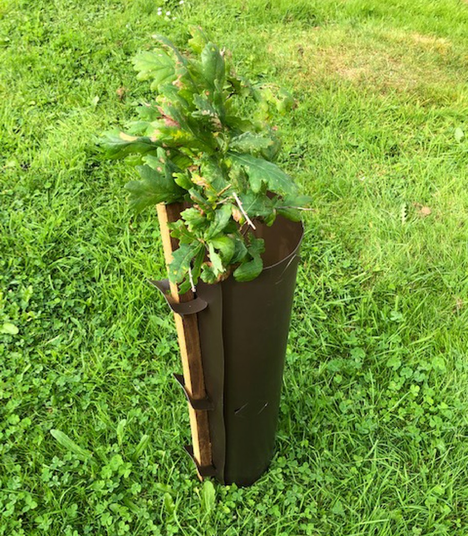 Eco-Haven™ Tree Guards, Shrub Shelters and Vine Sleeves